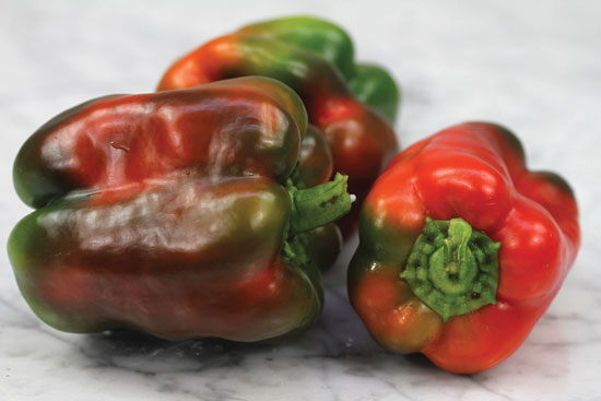 All About Green and Red Sweet Peppers - Grit
